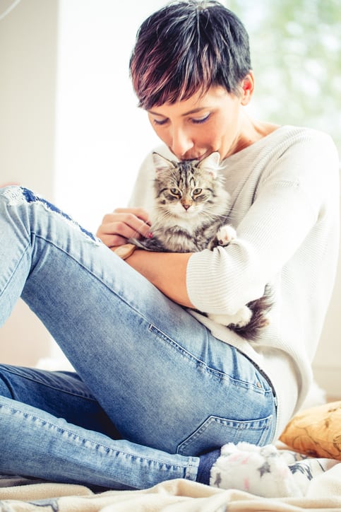Cat Friendly Certified Animal Hospital in Groveport, OH | Groveport ...